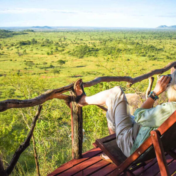 Serengeti Simba Lodge - African Safari Tours | Luxury Tanzania African ...